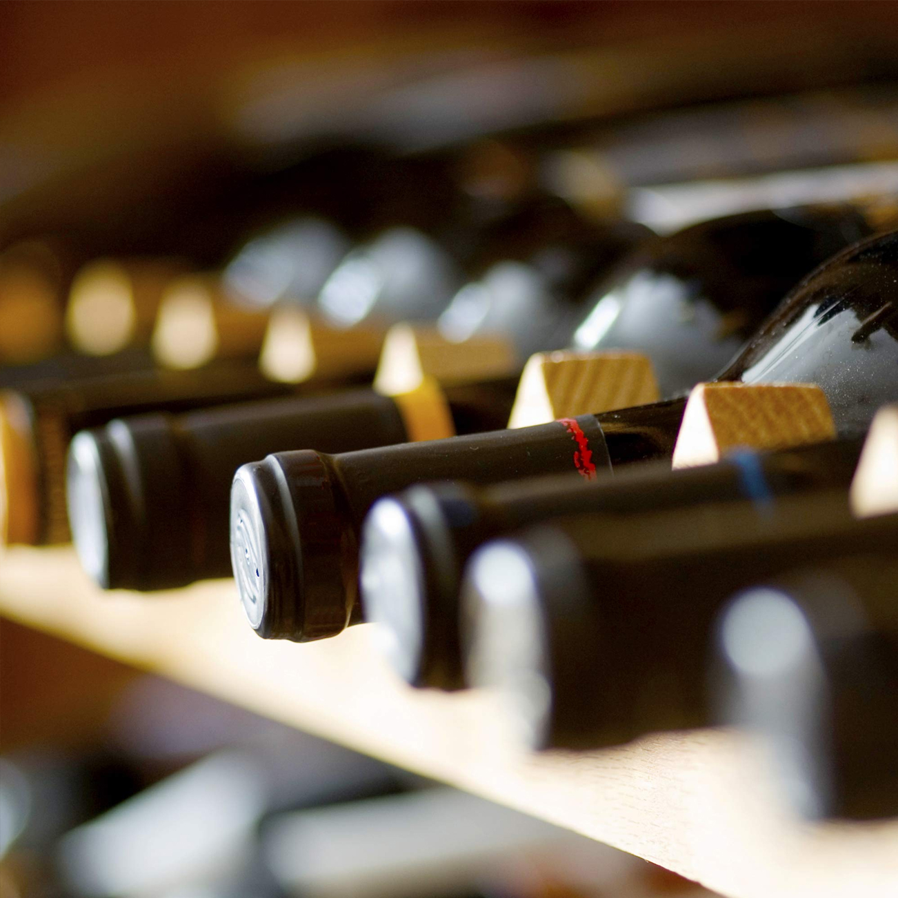 Ozeri : Products for the modern Home, offering Kitchenware, Lifestyle ...